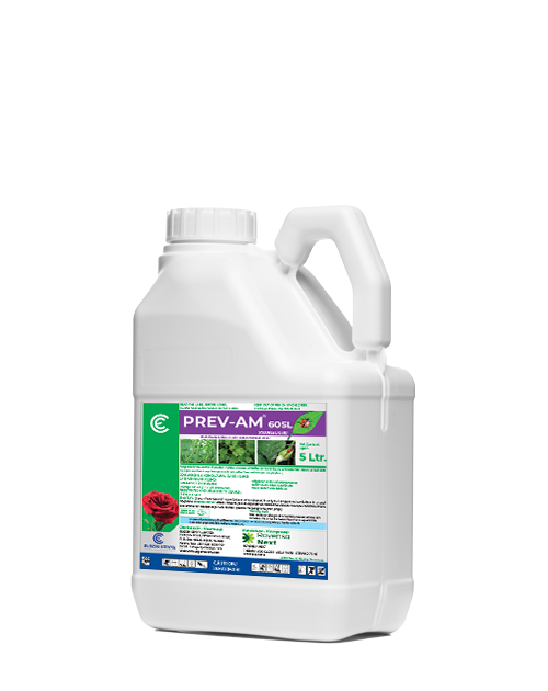 Our top products | Rovensa Next South Africa